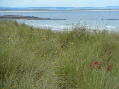 The Best of the UK and Ireland's Coast and Countryside for Cottage ...